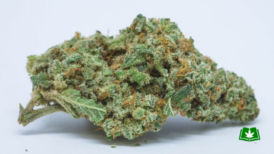 Best Marijuana Strains & Effects (2023) - Sativa University