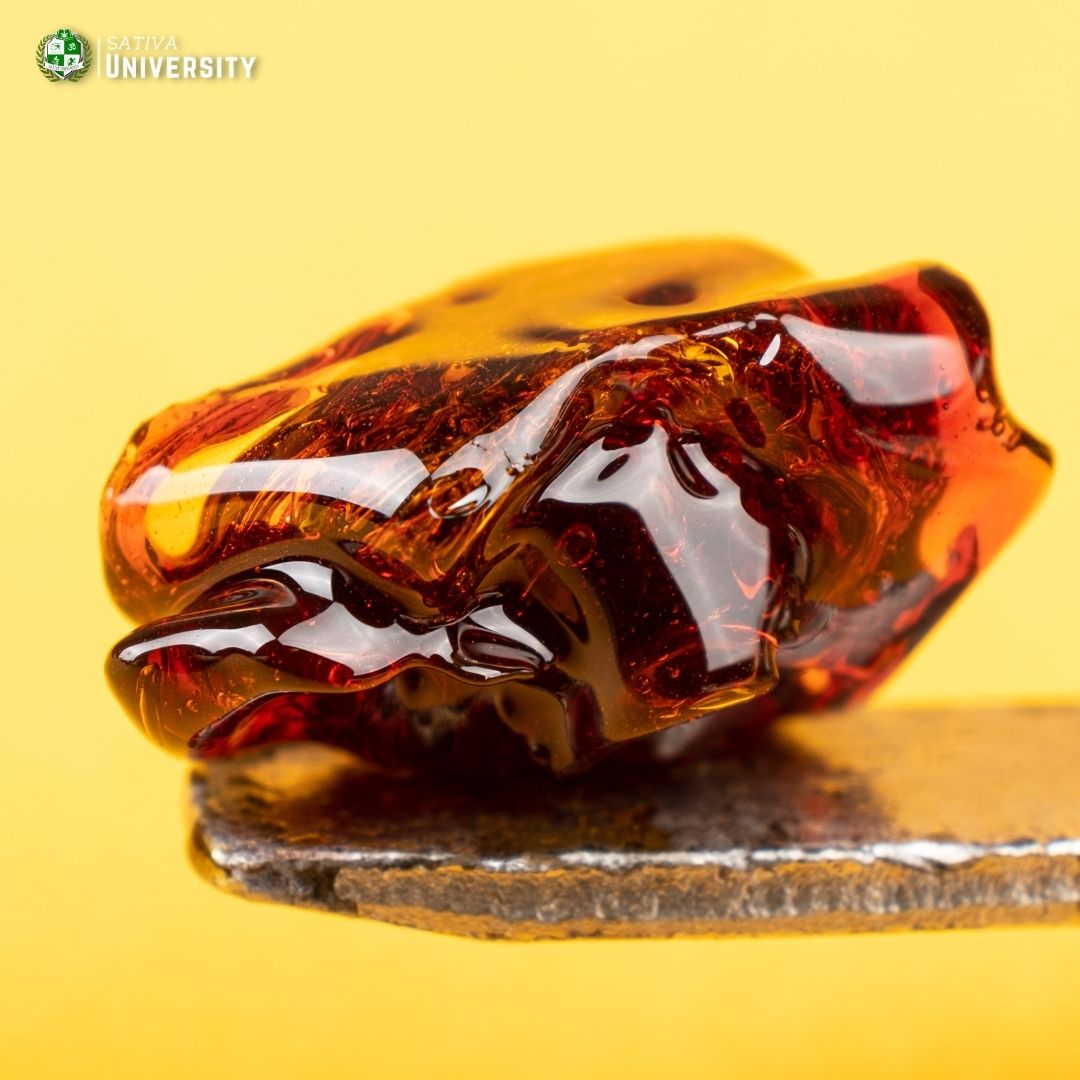 Advanced Extractions - Reserve Seat - Sativa University