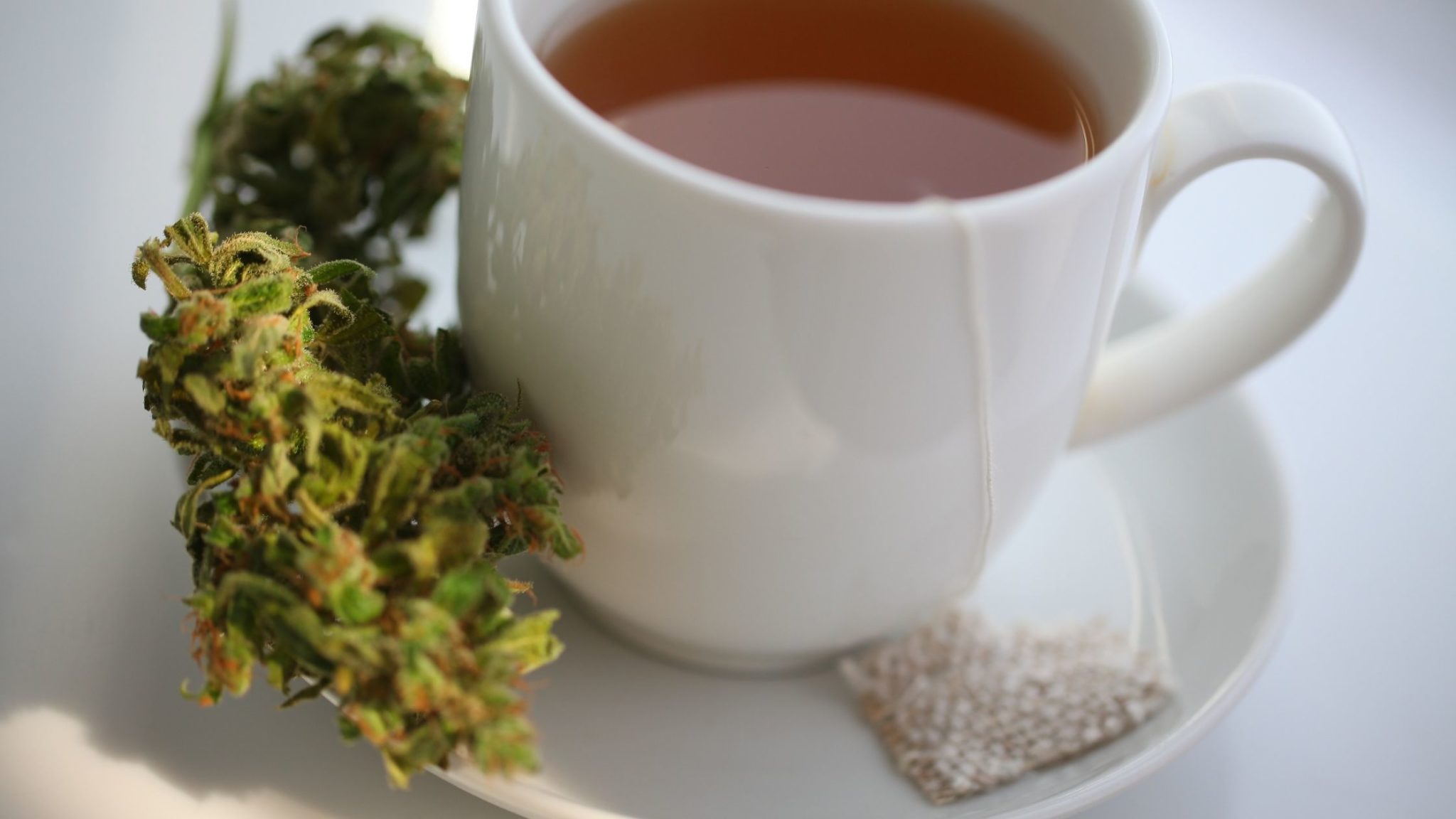 7 Reasons You Should Start Drinking Cannabis Tea with DIY Recipe