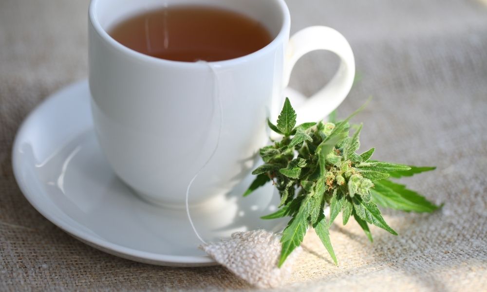 7 Reasons You Should Start Drinking Cannabis Tea with DIY Recipe