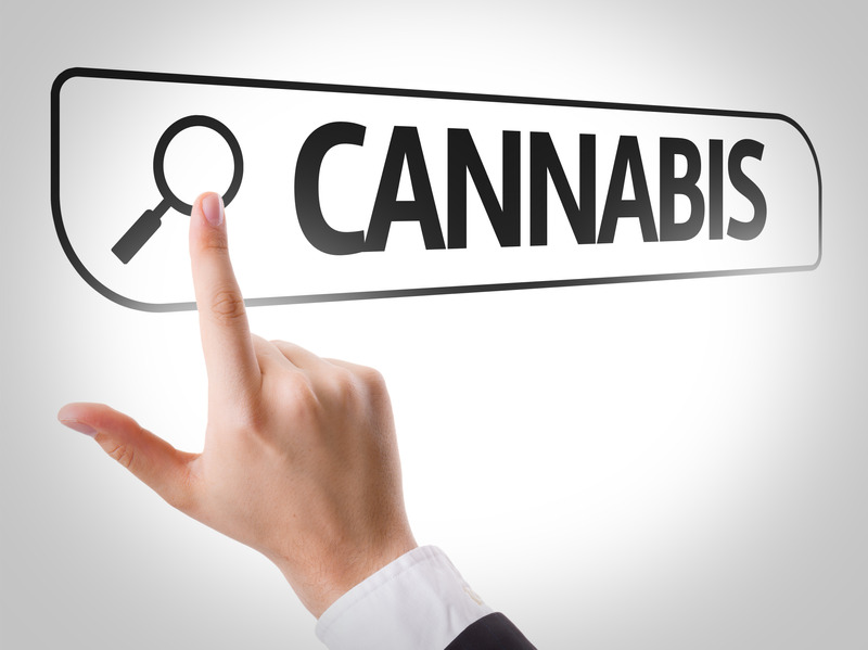 11 Tips on How to Break into the Cannabis Industry