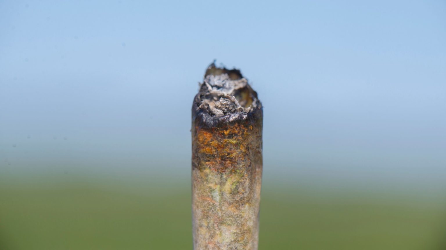 White Ash Vs. Black Ash: Reading Cannabis Ash