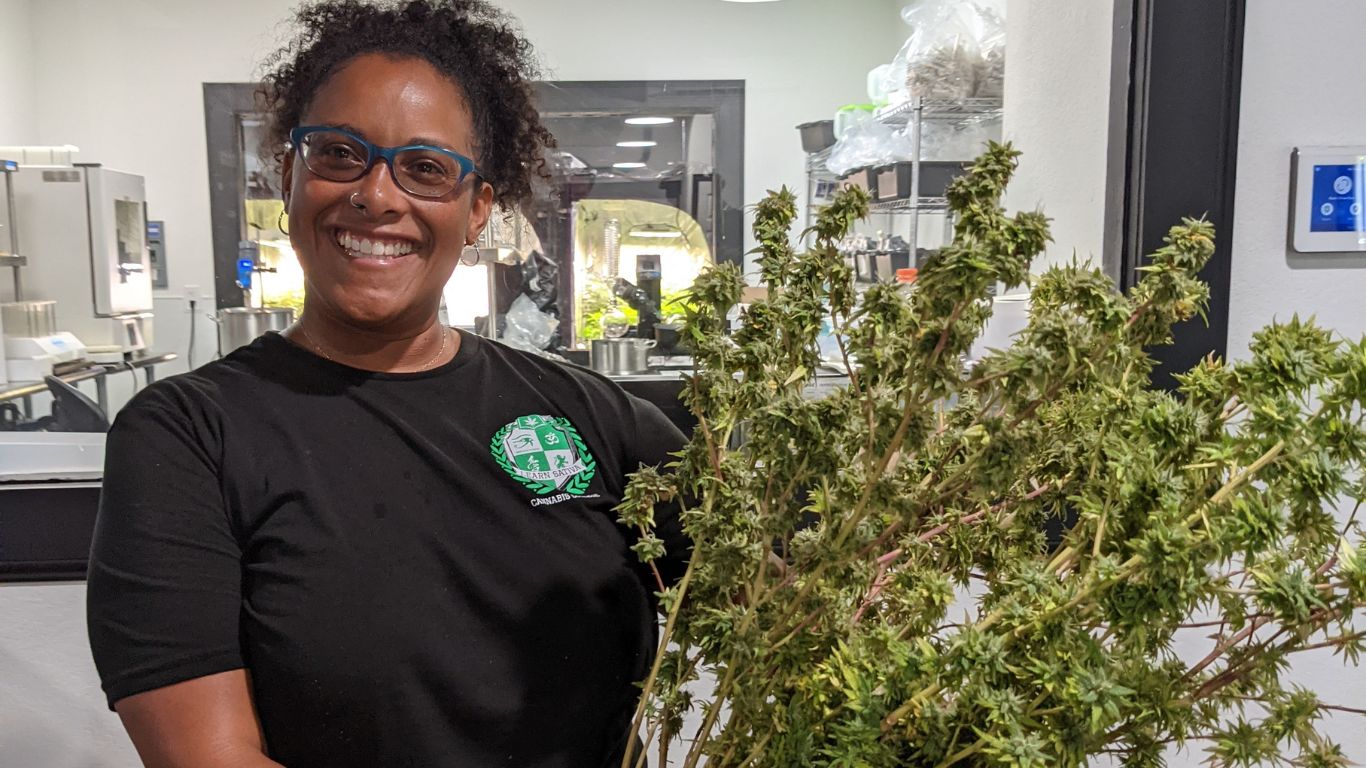 Marijuana Jobs (Now Hiring) Over 27+ States - Sativa University