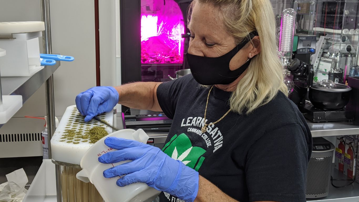Marijuana Jobs (Now Hiring) Over 27+ States - Sativa University