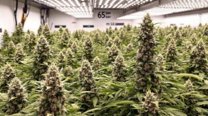 Carbon Fiber Strain Information & Effects