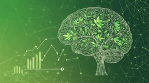 Kosher Kush Strain Information & Effects